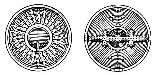 Meaning of "God Will Cover You and Shield You" (Psalm 91:4 Explained)